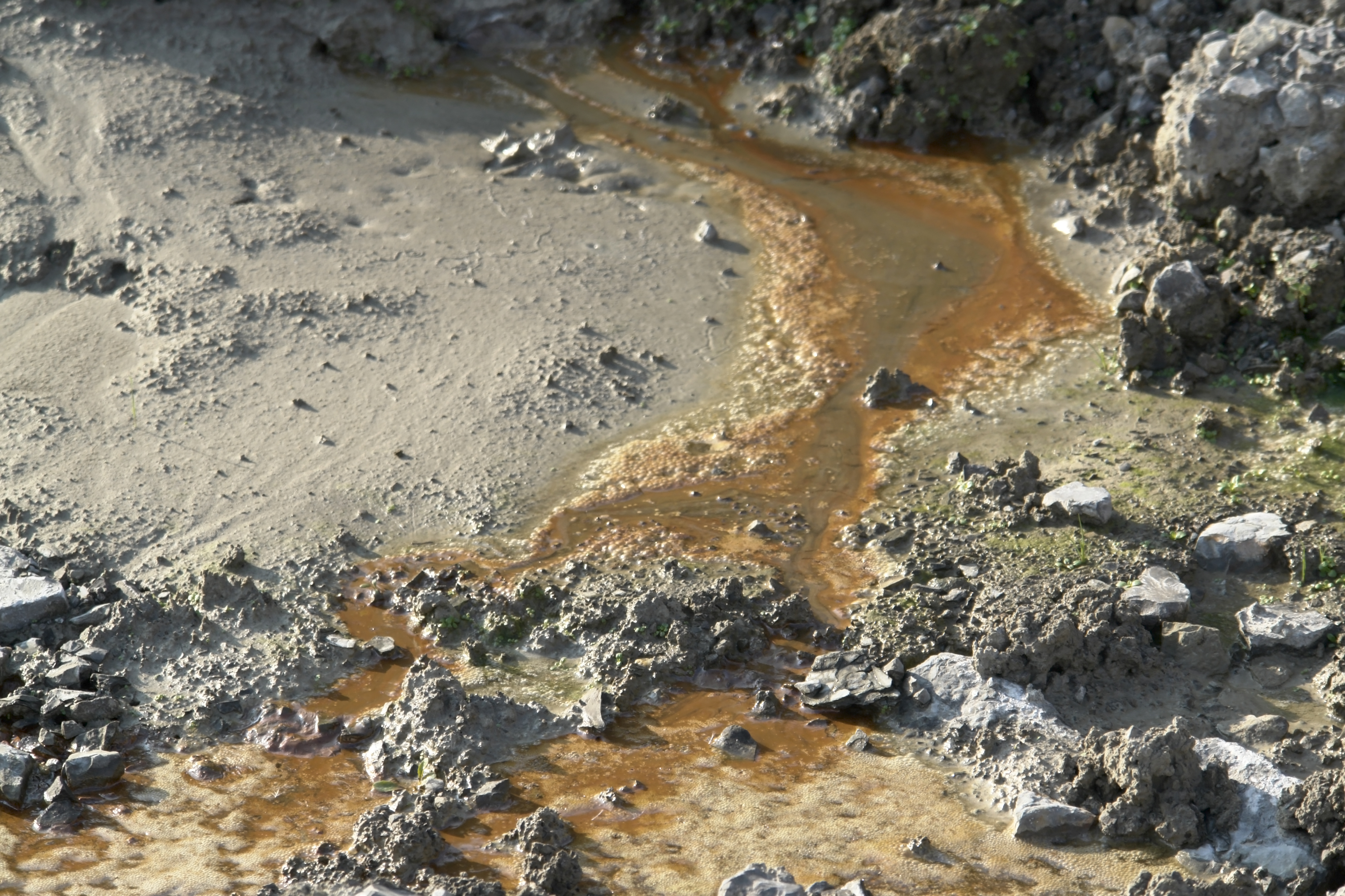 Contaminated Land